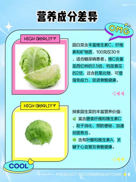 圆白菜是什么菜_圆白菜和包菜的区别-第1张图片-山城妙识