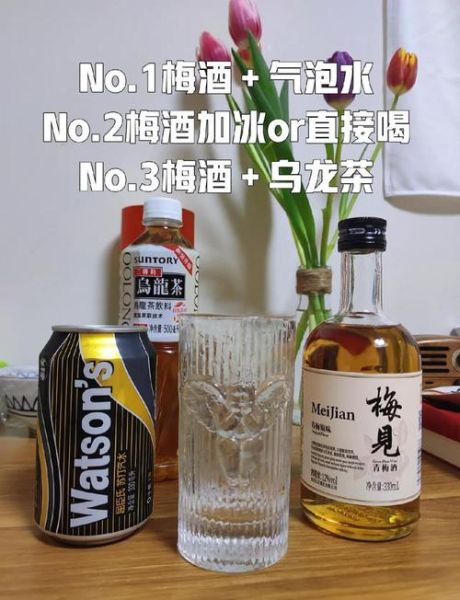 梅子酒配什么一起喝_梅子酒搭配什么好喝-第1张图片-山城妙识