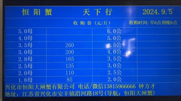 大闸蟹多少钱一斤_2024最新行情-第2张图片-山城妙识