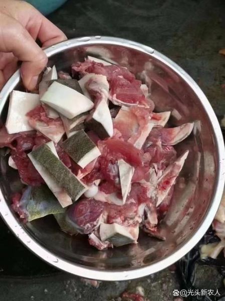 红烧甲鱼怎么做才好吃_红烧甲鱼去腥技巧-第3张图片-山城妙识