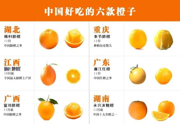 脐橙的营养价值_脐橙的功效与作用-第3张图片-山城妙识