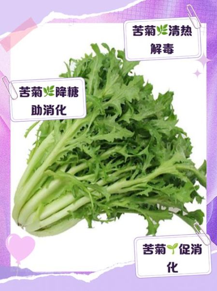 苦菊可以用开水烫一下吗_苦菊焯水营养会流失吗-第1张图片-山城妙识