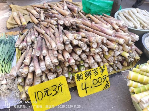 鲜竹笋图片大全_鲜竹笋怎么挑选-第3张图片-山城妙识