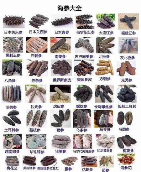 烟台海参批发市场在哪里_价格行情如何-第2张图片-山城妙识