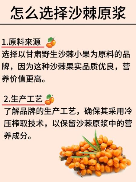 沙棘原浆什么人不能喝_沙棘原浆禁忌人群-第3张图片-山城妙识