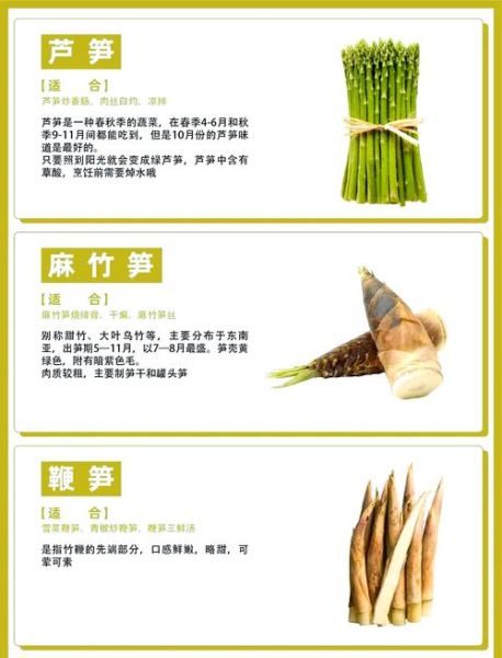 春笋和冬笋哪个营养更高_春笋和冬笋营养价值对比-第1张图片-山城妙识 春笋和冬笋哪个营养更高_春笋和冬笋营养价值对比-第1张图片-山城妙识