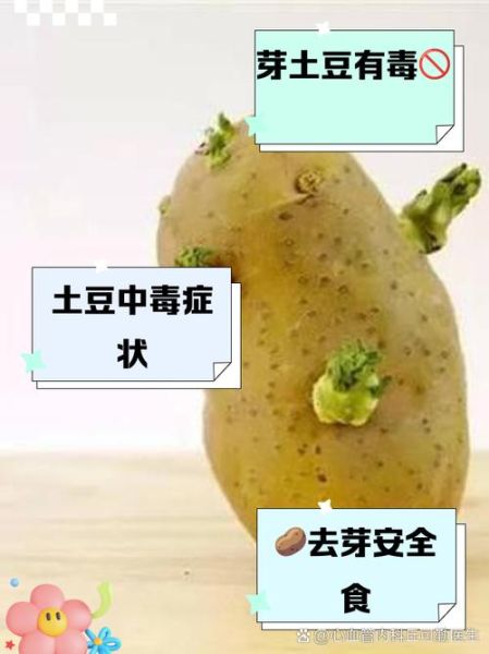 土豆发芽吃了中毒症状_发芽土豆中毒怎么办-第2张图片-山城妙识