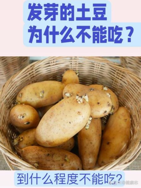 土豆发芽吃了中毒症状_发芽土豆中毒怎么办-第3张图片-山城妙识