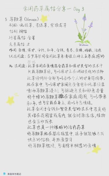 马鞭草的功效与作用_马鞭草的禁忌症-第1张图片-山城妙识 马鞭草的功效与作用_马鞭草的禁忌症-第1张图片-山城妙识