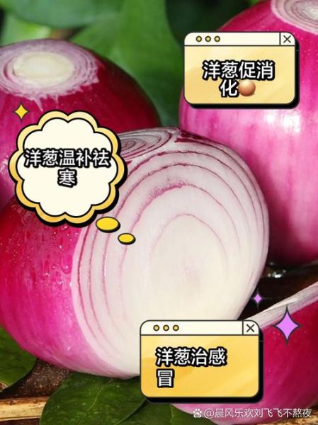 洋葱对男性性功能有好处吗_怎么吃才有效-第1张图片-山城妙识