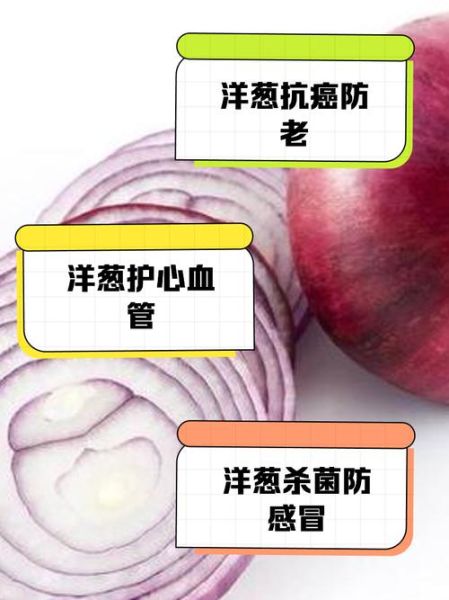 洋葱对男性性功能有好处吗_怎么吃才有效-第3张图片-山城妙识