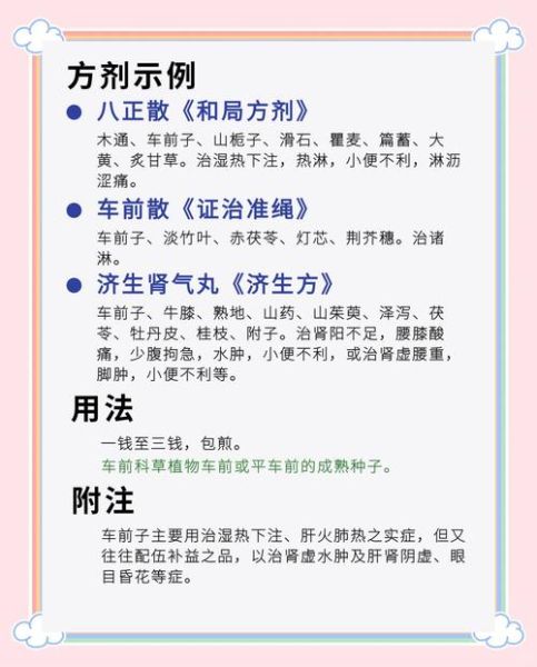 盐车前子能长期吃吗_盐车前子的功效与作用及禁忌-第1张图片-山城妙识