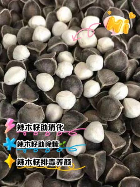 辣木籽口感骗局_辣木籽为什么这么苦-第2张图片-山城妙识