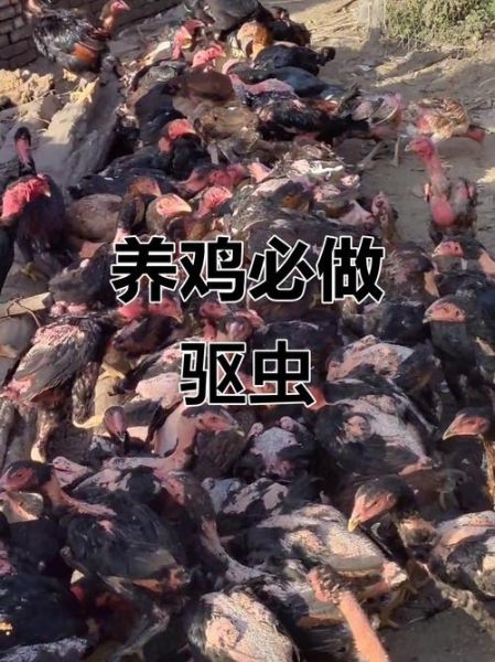 田鸡寄生虫图片_田鸡寄生虫怎么去除-第3张图片-山城妙识