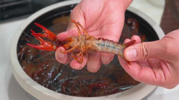 煮龙虾要多久才熟_如何清洗龙虾最干净-第1张图片-山城妙识