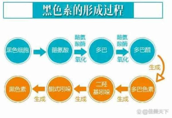 色素沉淀怎么消除_皮肤色素沉淀怎么淡化-第3张图片-山城妙识