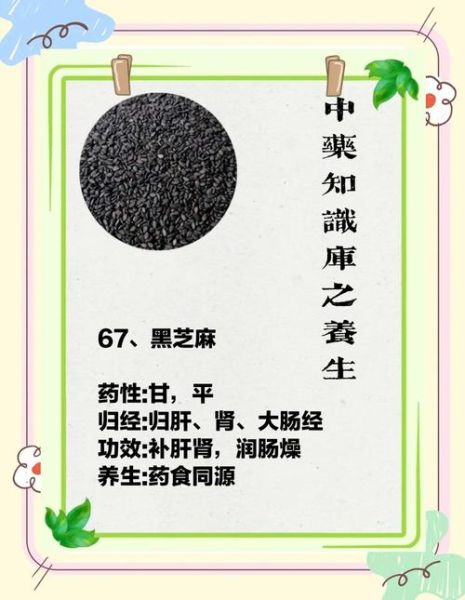 黑芝麻的功效与作用_黑芝麻怎么吃最营养-第2张图片-山城妙识