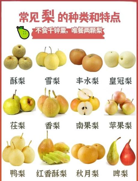 梨的种类有哪些_哪种梨最好吃-第2张图片-山城妙识
