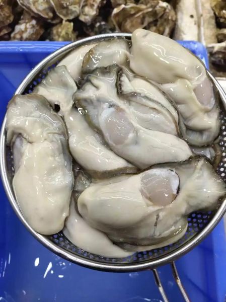 生蚝多少钱一斤_生蚝价格受哪些因素影响-第2张图片-山城妙识