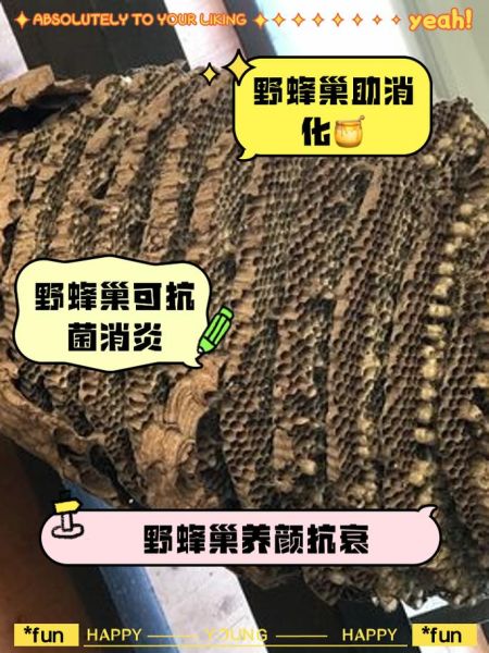 蜂巢的作用与功效_蜂巢怎么吃最好-第1张图片-山城妙识