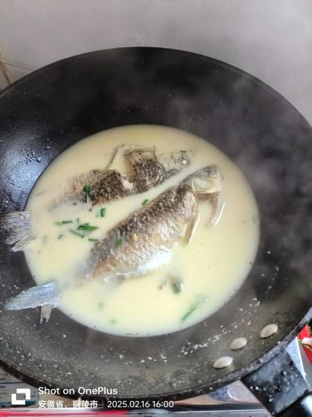 鲫鱼汤怎么炖才白_鲫鱼最正确的做法-第2张图片-山城妙识