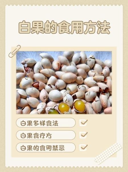 白果熟吃的作用与功效_白果熟吃怎么吃最营养-第1张图片-山城妙识 白果熟吃的作用与功效_白果熟吃怎么吃最营养-第1张图片-山城妙识