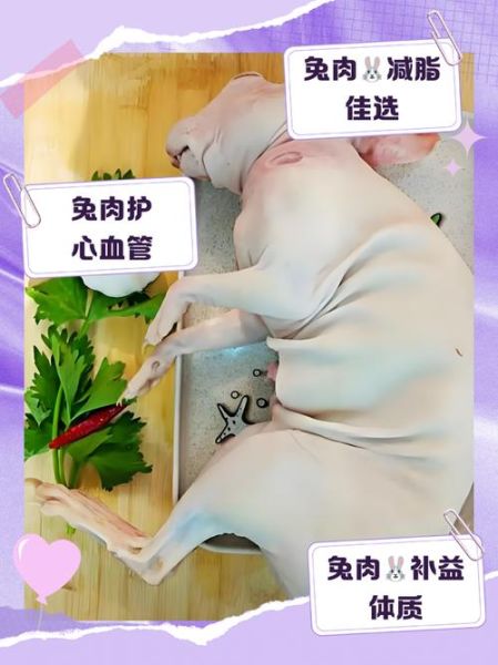 兔肉的功效与作用禁忌_什么人不能吃兔肉-第2张图片-山城妙识 兔肉的功效与作用禁忌_什么人不能吃兔肉-第2张图片-山城妙识