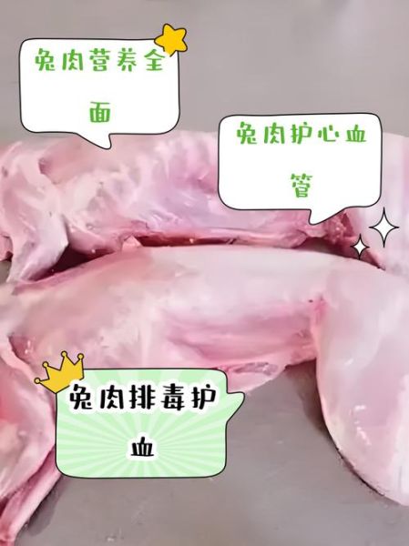 兔肉的功效与作用禁忌_什么人不能吃兔肉-第1张图片-山城妙识 兔肉的功效与作用禁忌_什么人不能吃兔肉-第1张图片-山城妙识