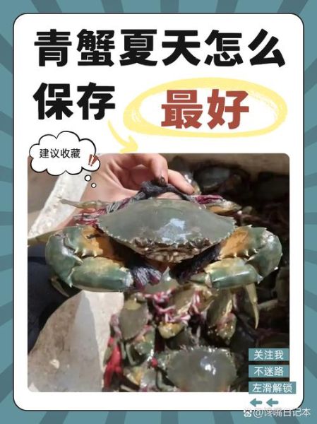 青蟹怎么挑选_青蟹蒸多久才熟-第3张图片-山城妙识 青蟹怎么挑选_青蟹蒸多久才熟-第3张图片-山城妙识