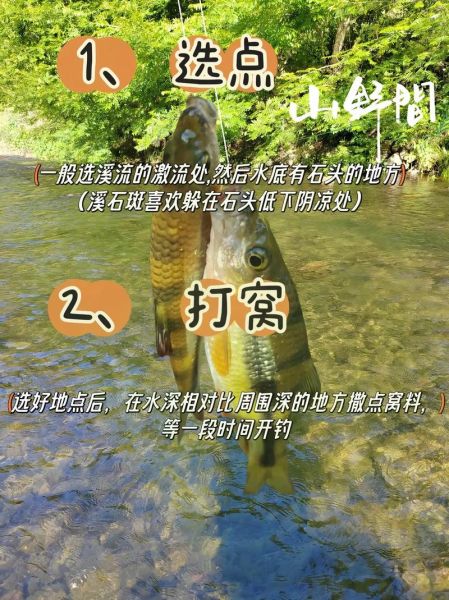石斑鱼怎么钓_石斑鱼钓法技巧-第1张图片-山城妙识