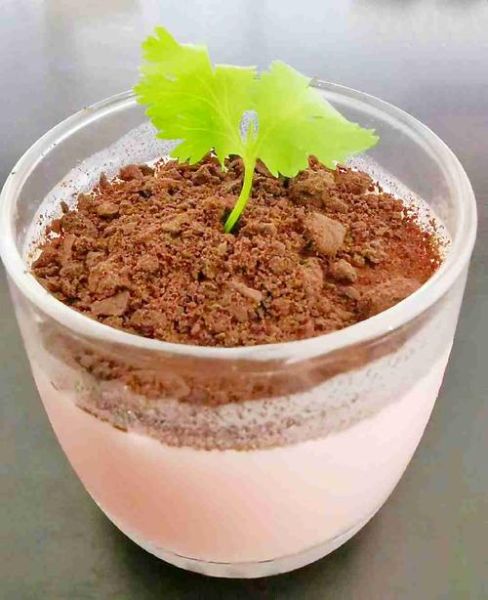 盆栽冰淇淋怎么做_盆栽冰淇淋DIY教程-第2张图片-山城妙识