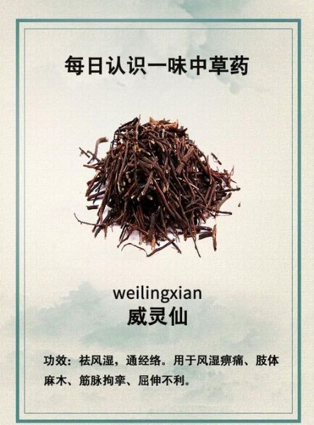 威灵仙有毒吗_威灵仙中毒怎么办-第1张图片-山城妙识