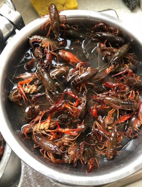 正宗十三香龙虾怎么做_十三香龙虾配方比例-第1张图片-山城妙识