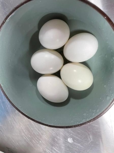 鸽子蛋煮几分钟才熟_鸽子蛋煮多久不裂-第1张图片-山城妙识