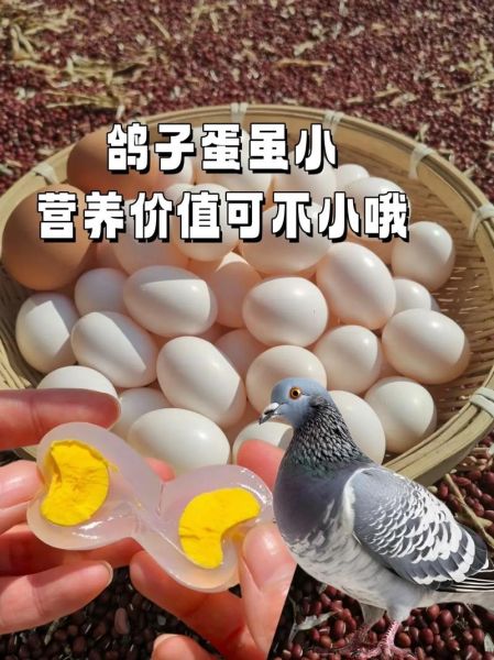 鸽子蛋煮几分钟才熟_鸽子蛋煮多久不裂-第2张图片-山城妙识