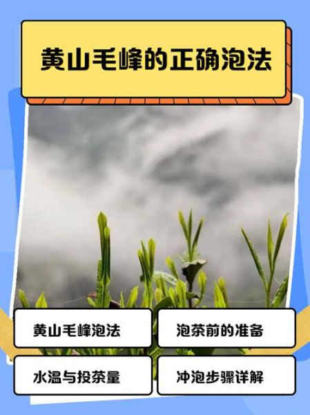 黄山毛峰怎么冲泡_黄山毛峰冲泡水温多少度-第1张图片-山城妙识