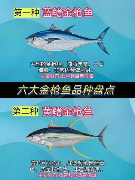 100斤蓝鳍金枪鱼多少钱_蓝鳍金枪鱼价格影响因素-第2张图片-山城妙识