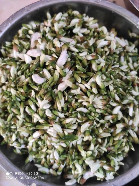 槐花为什么要焯水_焯水后苦味怎么去除-第3张图片-山城妙识