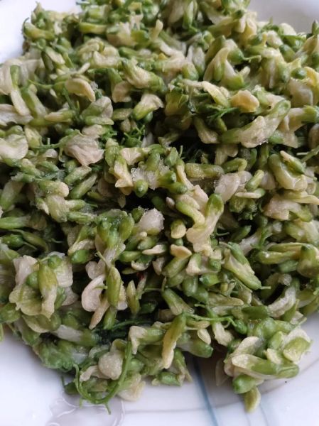 槐花为什么要焯水_焯水后苦味怎么去除-第2张图片-山城妙识