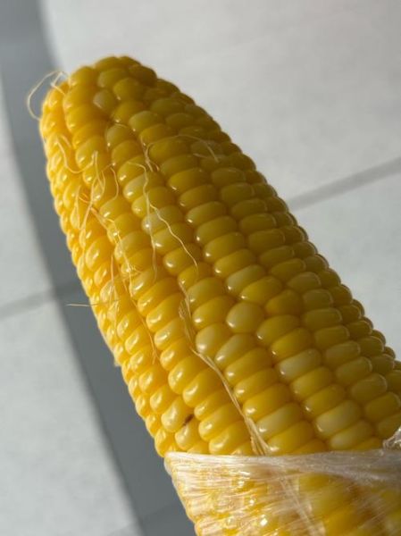 玉米图片怎么拍好看_玉米图片拍摄技巧-第3张图片-山城妙识