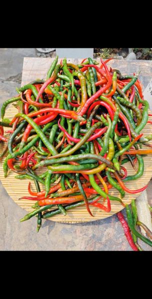 新鲜辣椒怎么炒好吃_新鲜辣椒怎么腌制好吃-第3张图片-山城妙识 新鲜辣椒怎么炒好吃_新鲜辣椒怎么腌制好吃-第3张图片-山城妙识