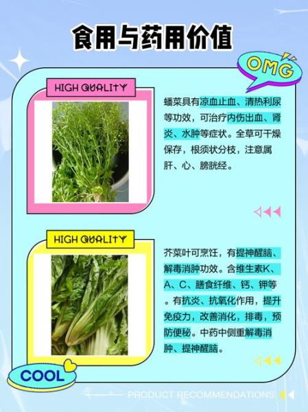 芥菜和荠菜的区别_如何一眼区分芥菜与荠菜-第1张图片-山城妙识