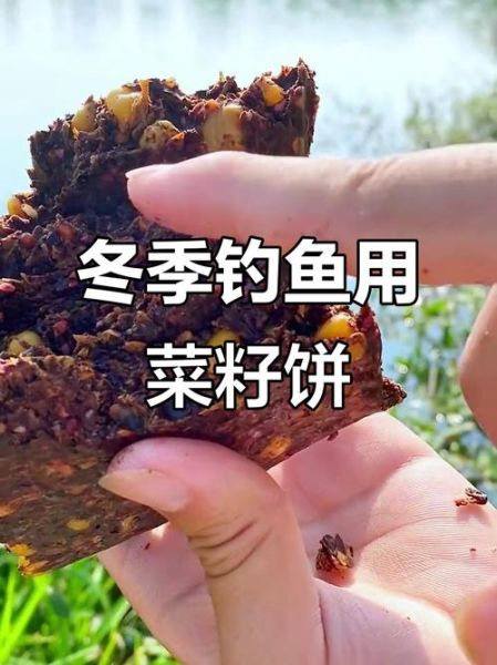 菜籽饼钓鱼最佳用法_菜籽饼打窝技巧-第2张图片-山城妙识