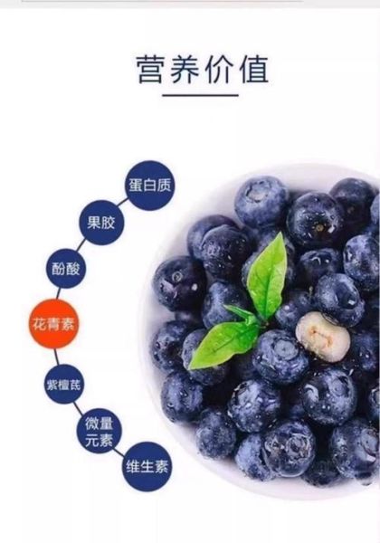 蓝莓干的功效与作用及禁忌_蓝莓干吃多了会怎样-第1张图片-山城妙识