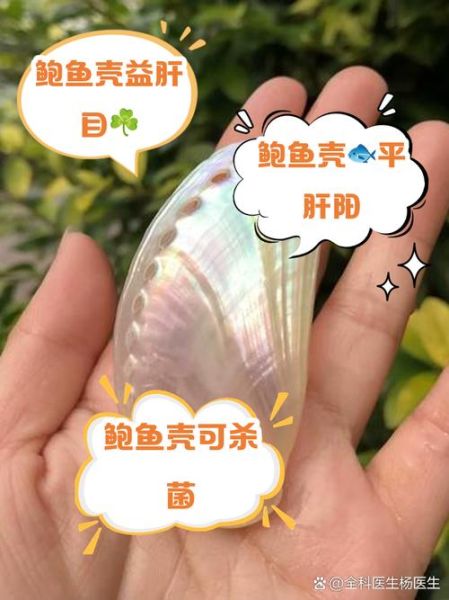 鲍鱼壳的功效与作用_鲍鱼壳怎么使用-第1张图片-山城妙识