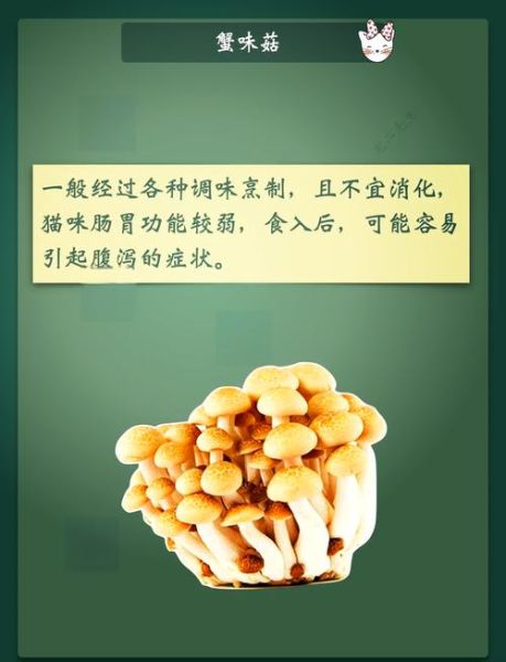 蟹味菇不能和什么一起吃_蟹味菇禁忌人群有哪些-第1张图片-山城妙识 蟹味菇不能和什么一起吃_蟹味菇禁忌人群有哪些-第1张图片-山城妙识