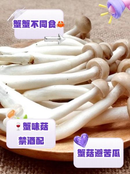 蟹味菇不能和什么一起吃_蟹味菇禁忌人群有哪些-第2张图片-山城妙识 蟹味菇不能和什么一起吃_蟹味菇禁忌人群有哪些-第2张图片-山城妙识
