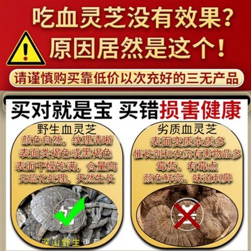 血灵芝图片真假鉴别_血灵芝功效与作用-第2张图片-山城妙识