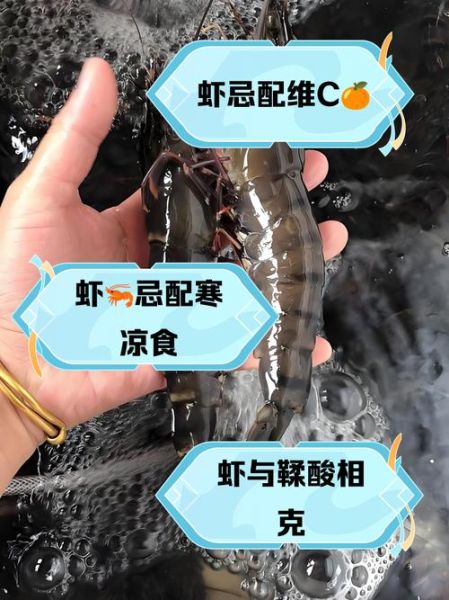 虾和什么不能一起吃_虾相克食物有哪些-第2张图片-山城妙识