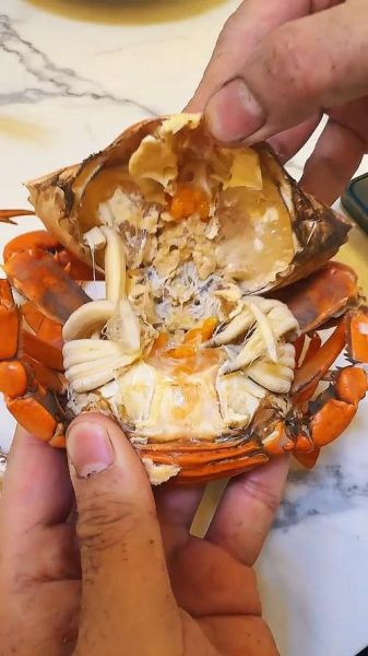 黄油蟹哪里产的_黄油蟹产地在哪里-第3张图片-山城妙识